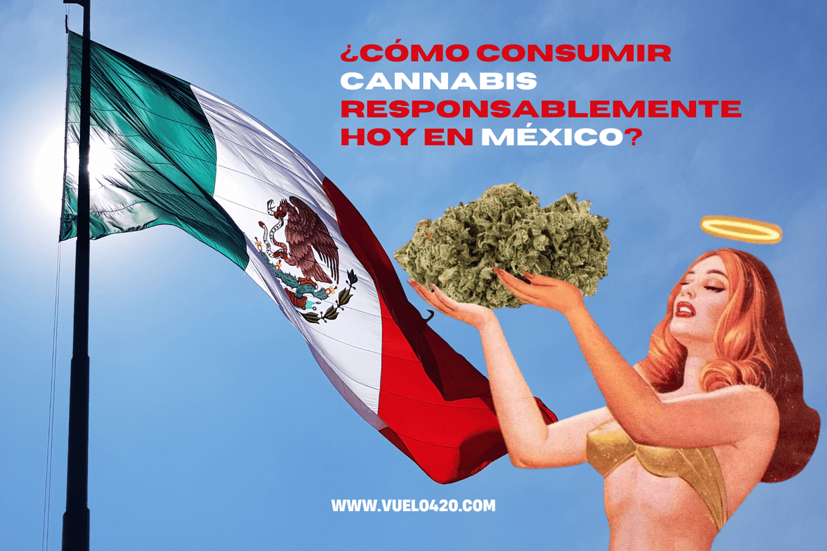 Cannabis en México 2025: lo que nadie te explica (pero deberías saber ...