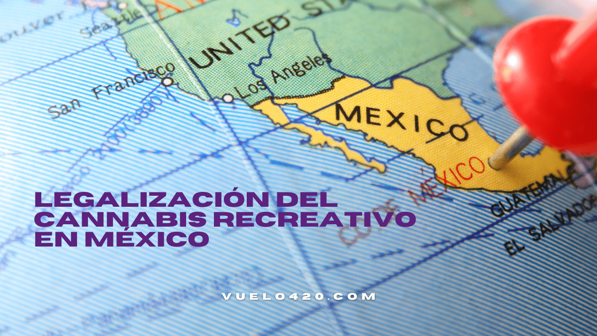 Legalización Del Cannabis Recreativo En México Lo Que Necesitas Saber